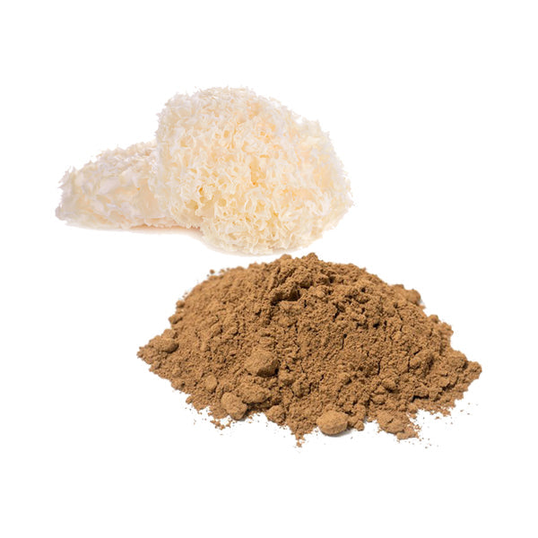 Bulk Tremella Mushroom Powder Wholesale UK – British VitaTech